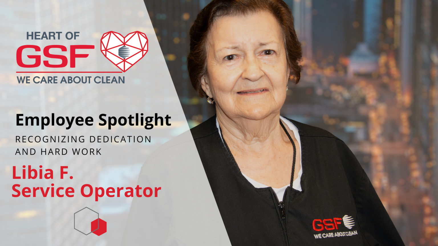 Global Commercial Cleaning Services Company | GSF